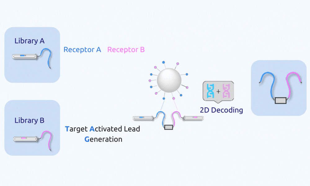 Science & Innovation – CBP